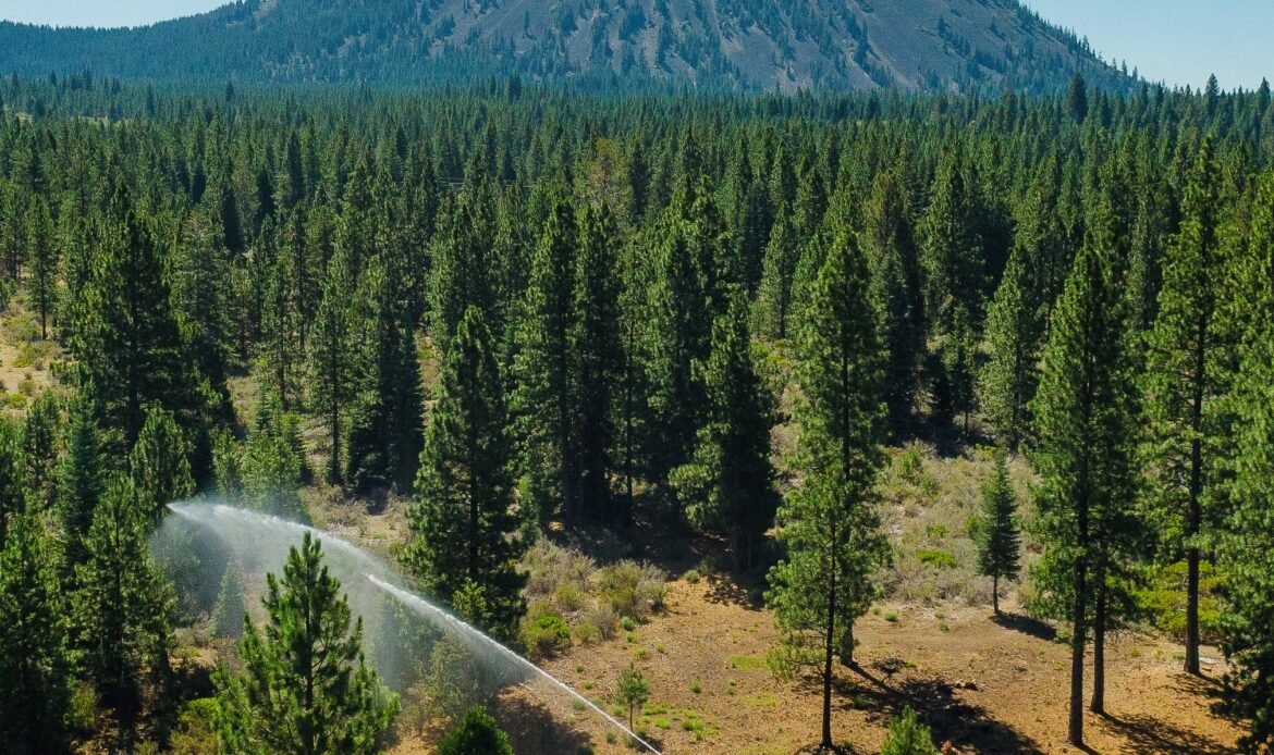 Wildfire Suppression Systems & Fire Protection